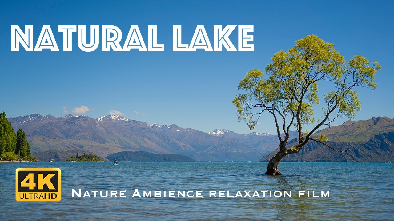 Beautiful natural Lake with Soothing music Relax Mind Body sleep fast ...