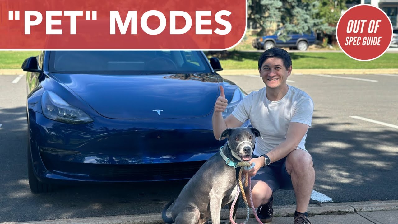 Every Electric Car Needs This Feature - Dog Mode Explained - YouTube