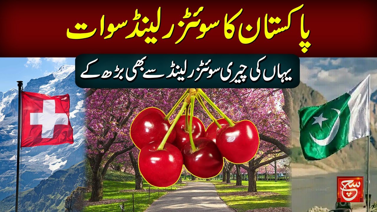 Cherry Tree in Pakistan | Switzerland of the East | Such Digital - YouTube