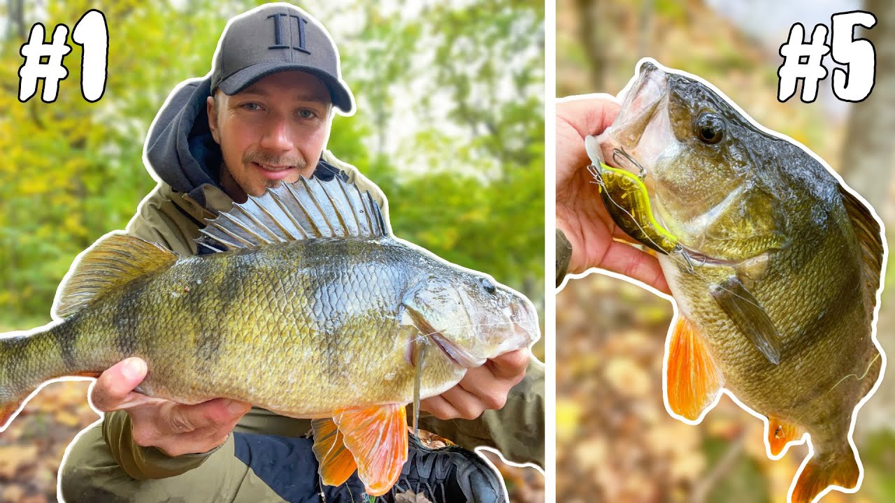 5 TIPS THAT WILL IMPROVE YOUR PERCH GAME | Team Galant - YouTube