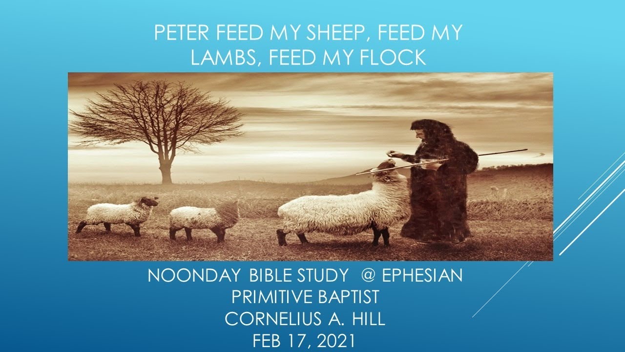 2.17.2021 NOONDAY BIBLE STUDY: PETER FEED MY SHEEP. - YouTube
