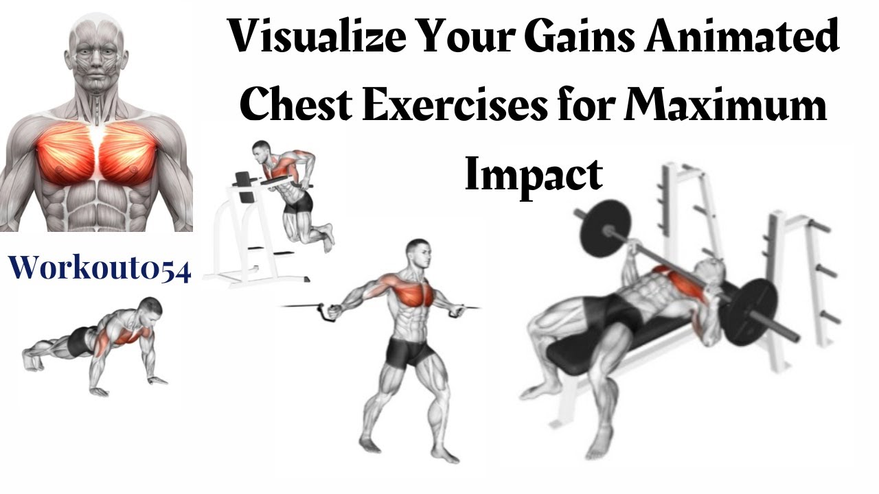 Visualize Your Gains || Chest Exercises for Maximum Impact || workout ...