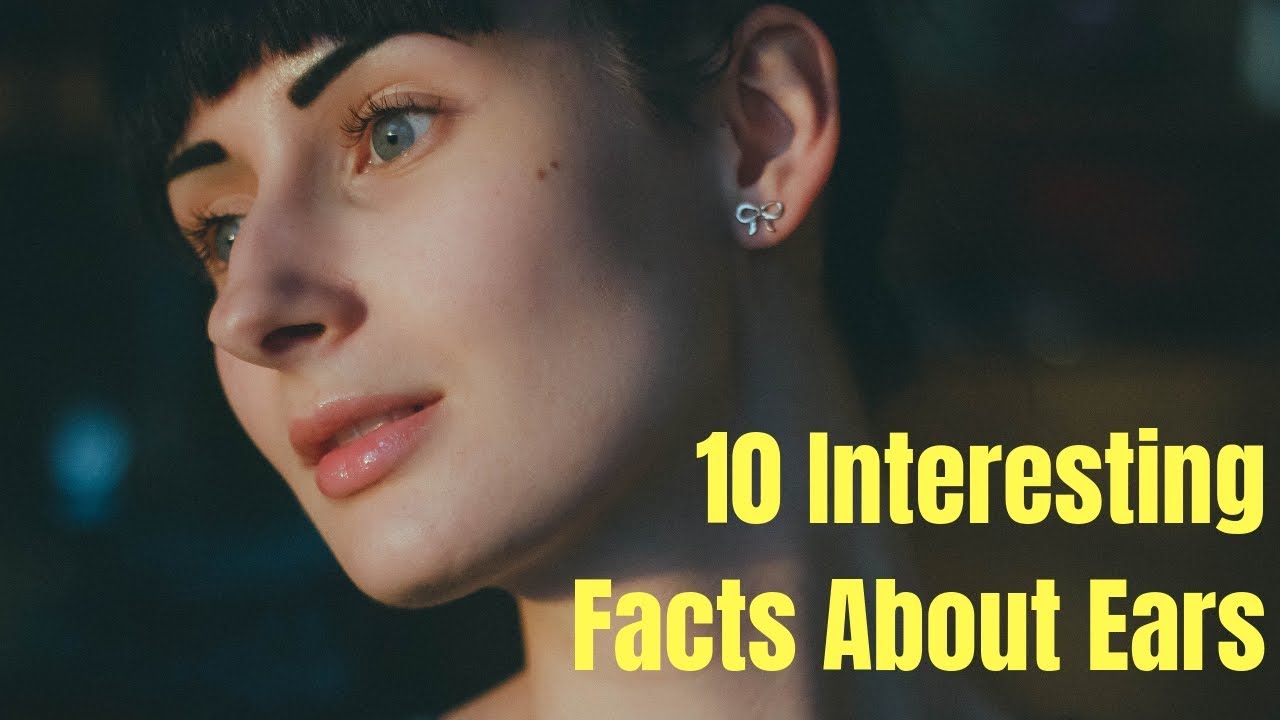 10 Interesting Facts About Ears. | Amazing Facts About Ears That You ...