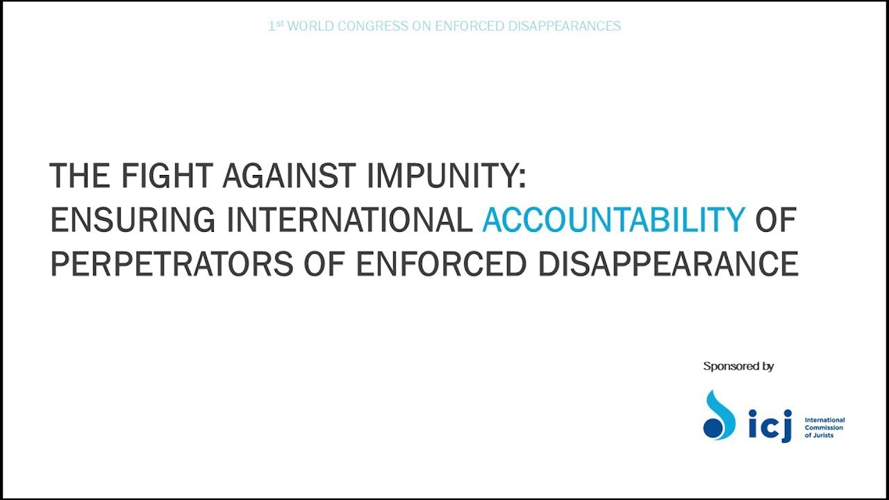 The fight against impunity ensuring international accountability of ...