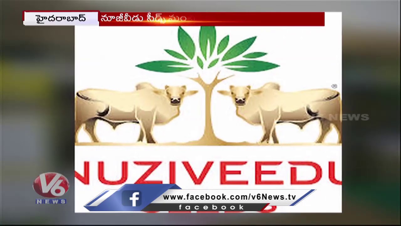 New Varieties Of Seeds Launched By Nuziveedu Seeds Company | V6 News ...