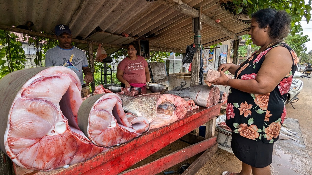 Exploring Vibrant Local Fish Market | Fresh Catch of the Day - YouTube