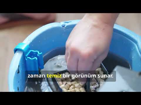 Bahçenizi Yeşil Alana Dönüştürecek Süs Havuzu Seçimi !