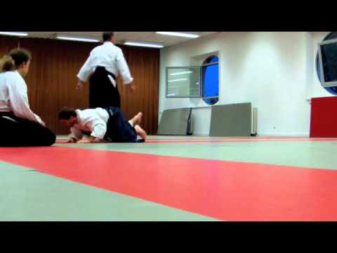 aikido nikyo - YouTube