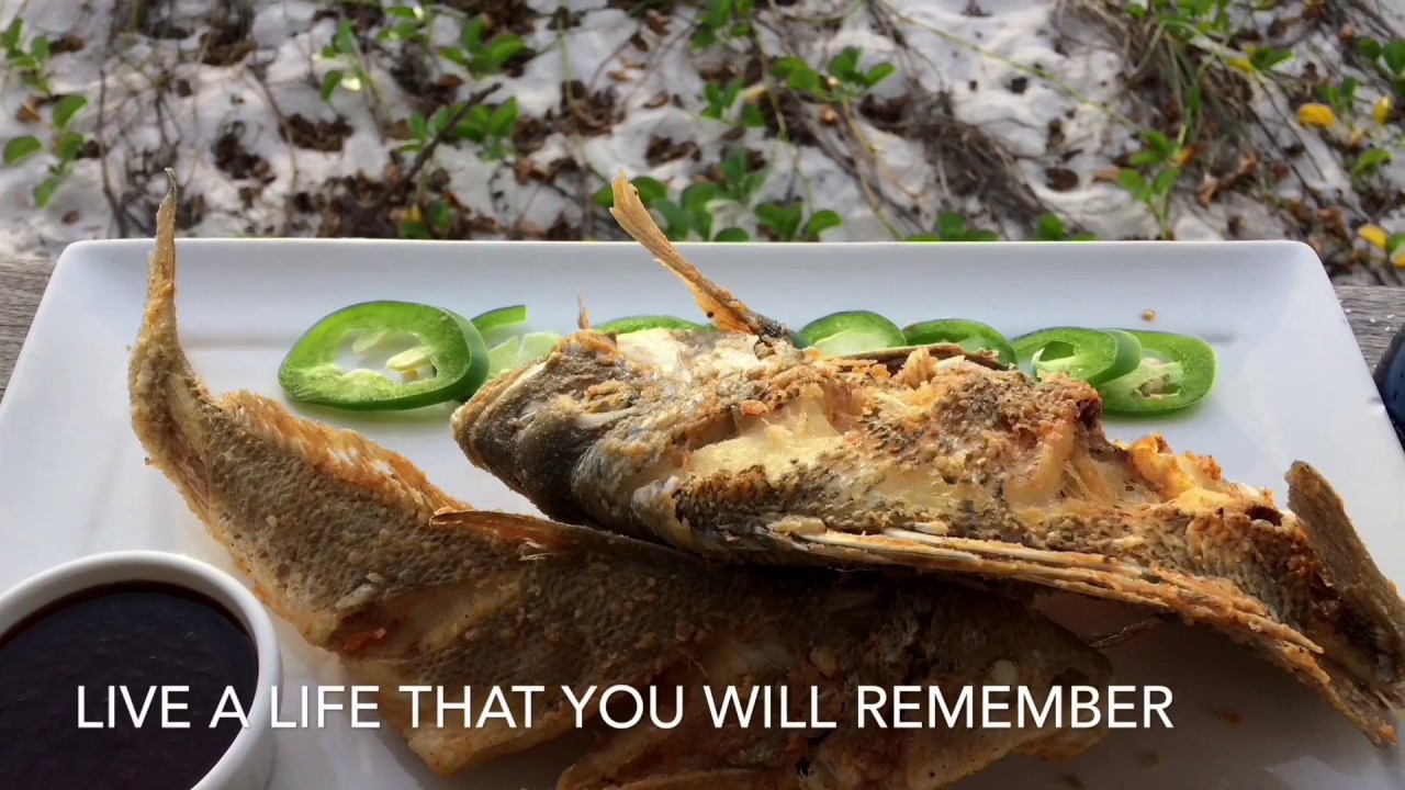 How to catch sheepshead fish - YouTube