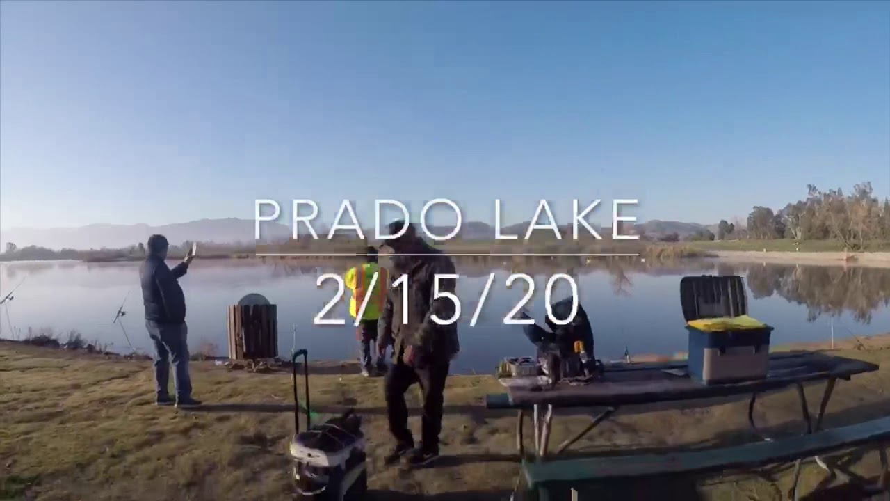 Trout Fishing Prado Regional park - YouTube