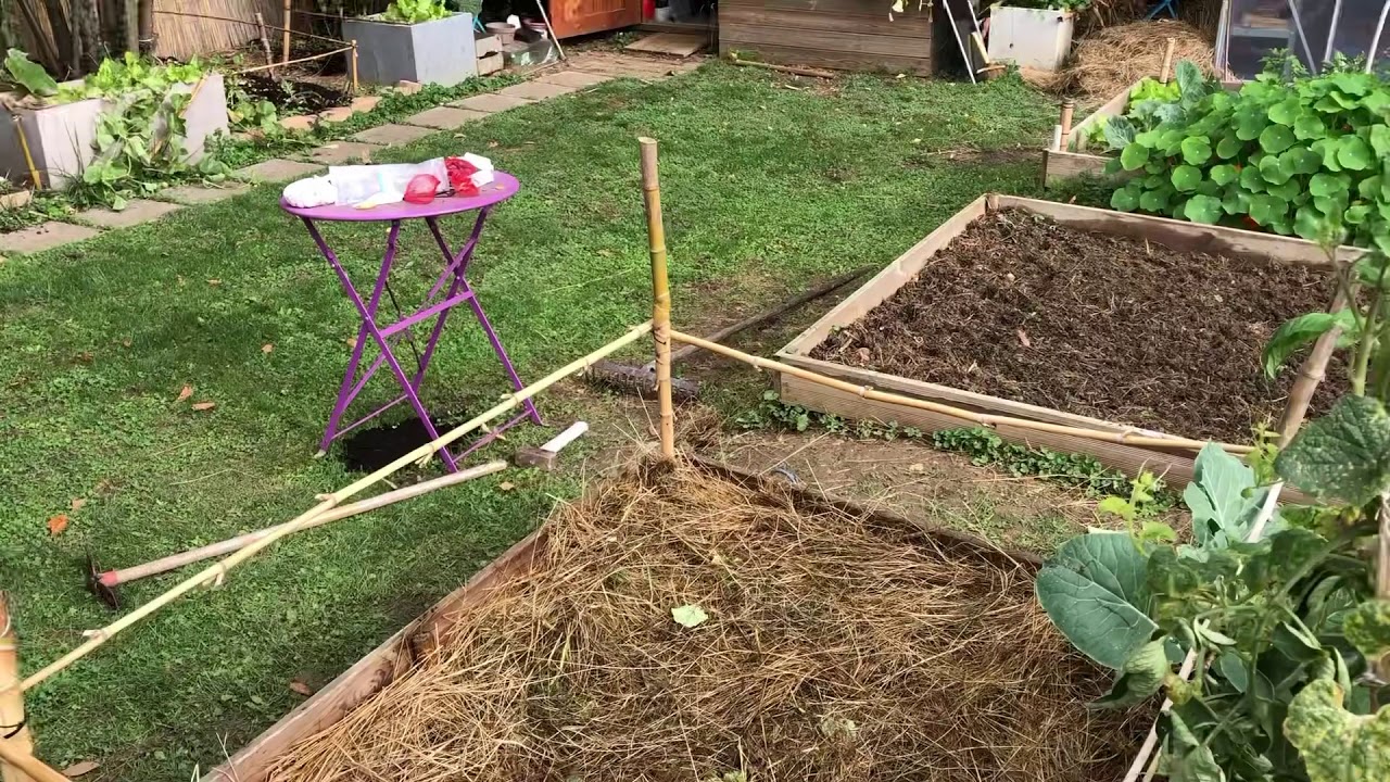 Semis de fèves, plantations oignons et échalotes en octobre 2019 - YouTube