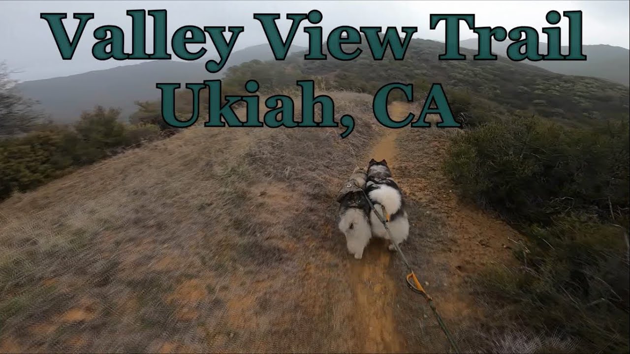 Valley View Trail - Ukiah, CA - 3 Dec 2022 - YouTube