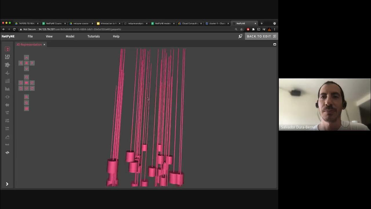 NetPyNE2021 12 NetPyNE GUI tuts1&2 spinal cord - YouTube