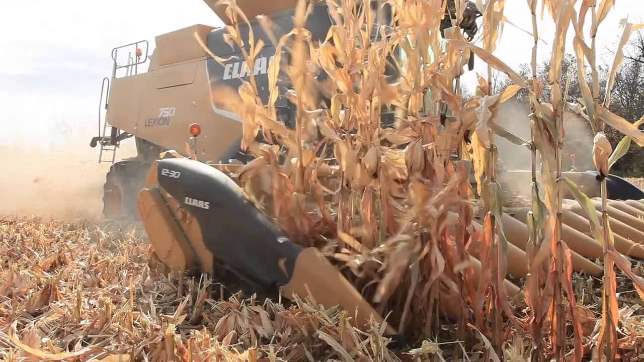 Central Iowa Farms - Harvest 2012 - Three Razors Media - YouTube