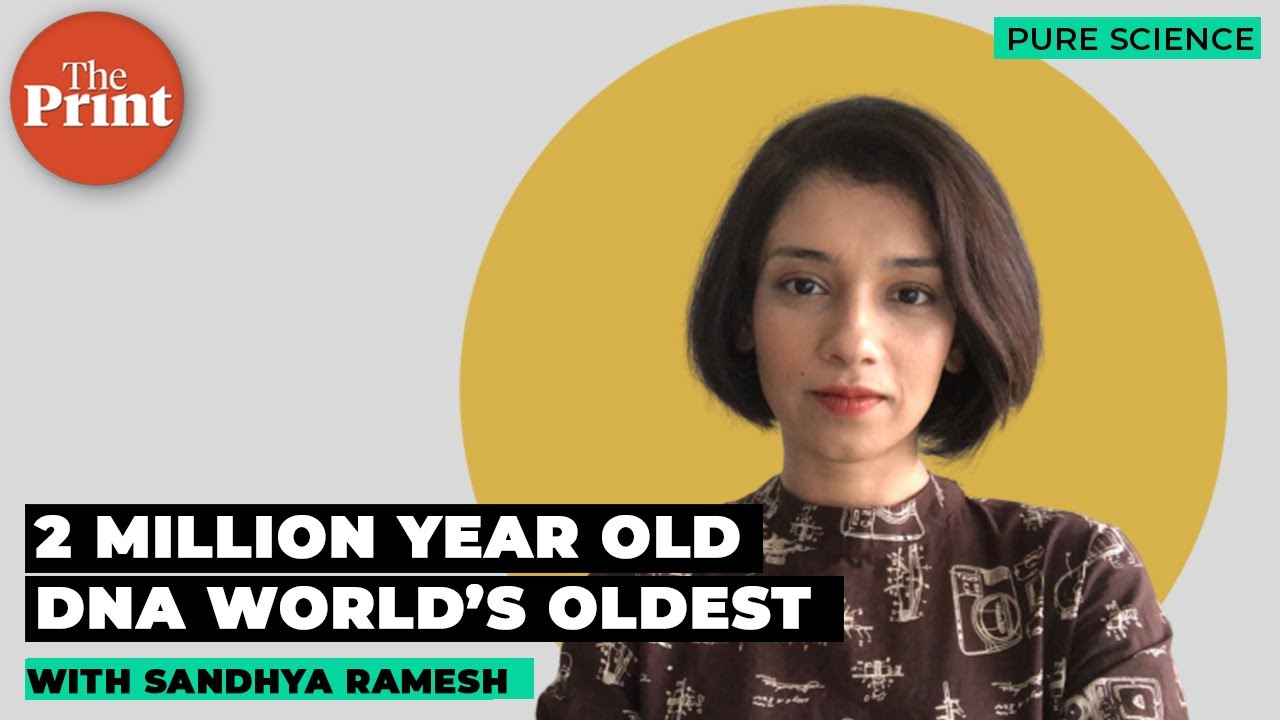 Scientists retrieve 2 million year old DNA, oldest in the world - YouTube