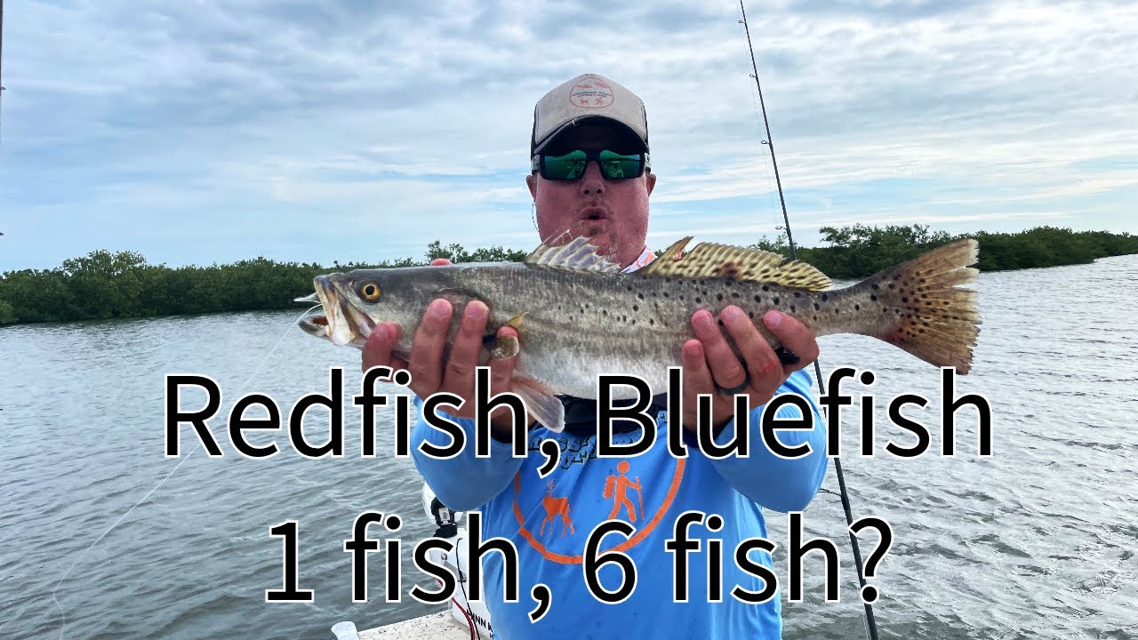 Redfish, Bluefish, 1 fish, 6 fish???? in Oak Hill - YouTube