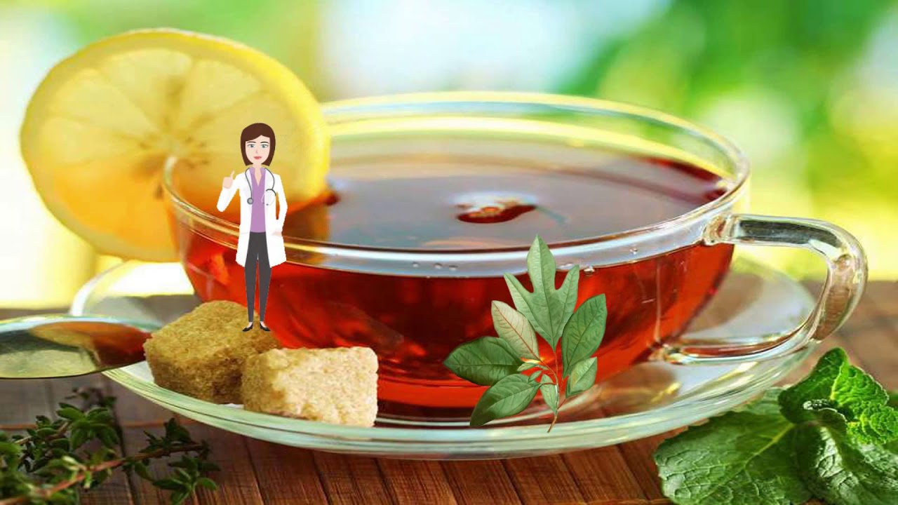 Gjethja e dafinës bimë shëruese dhe erëz e shkëlqyer - YouTube