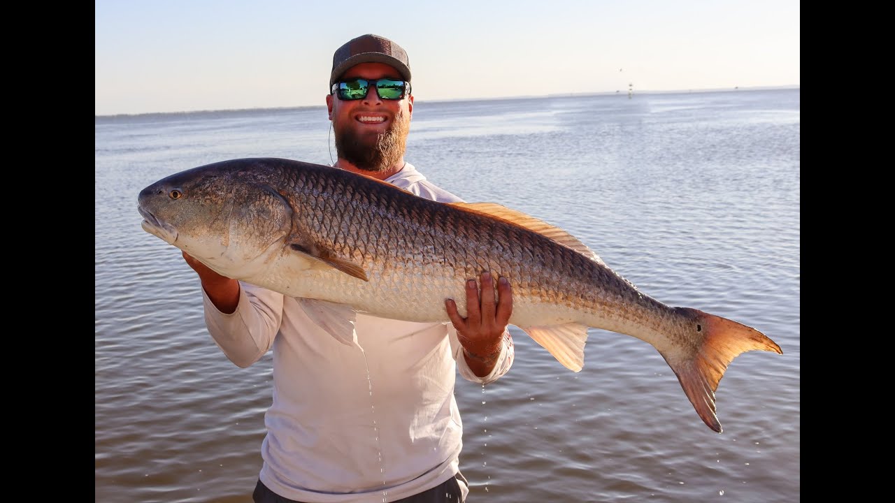 HOW TO CATCH HUGE REDFISH! 4K FOOTAGE!!!!! - YouTube