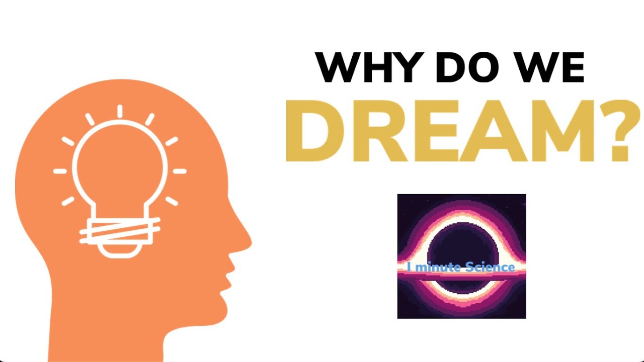 Why Do We DREAM? - YouTube