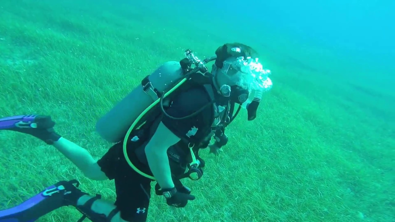 Diving in Cuba - Dive #4 - YouTube