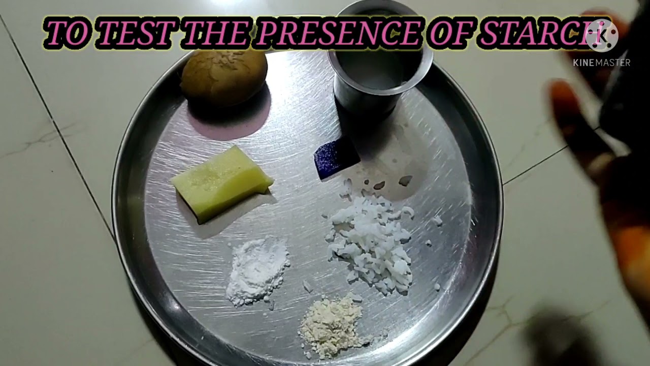 To Test the presence of Starch //Iodine Test for Potato 🥔/Rice n Wheat ...
