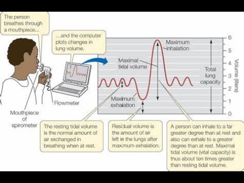 Instruments for Measurement of Respiratory Volumes - YouTube