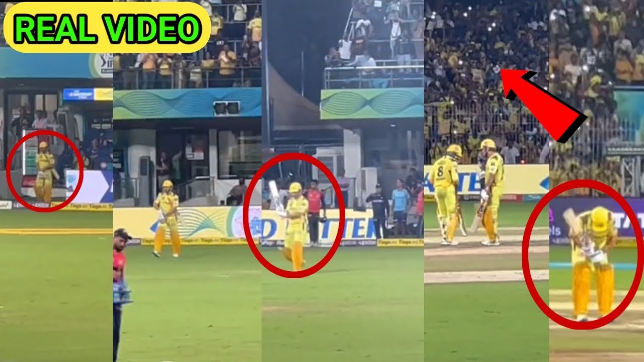 Dhoni's craze while entering the ground in MA Chidambaram stadium ...