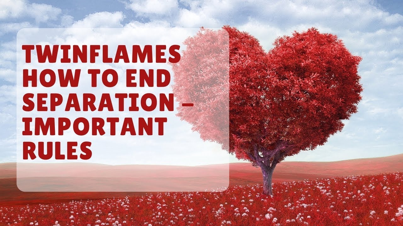 Twin flames How To End Separation - Important Rules - twin flames ...
