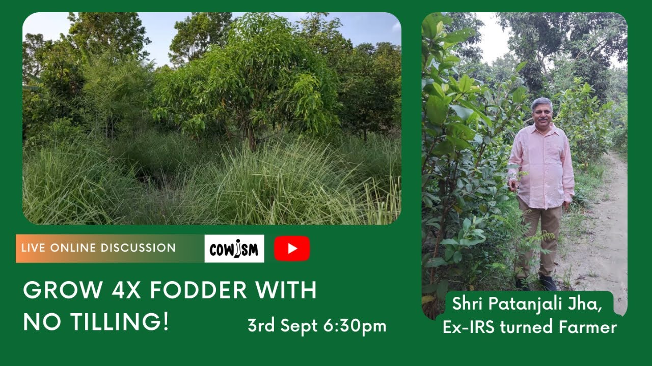 Fodder From Forest
