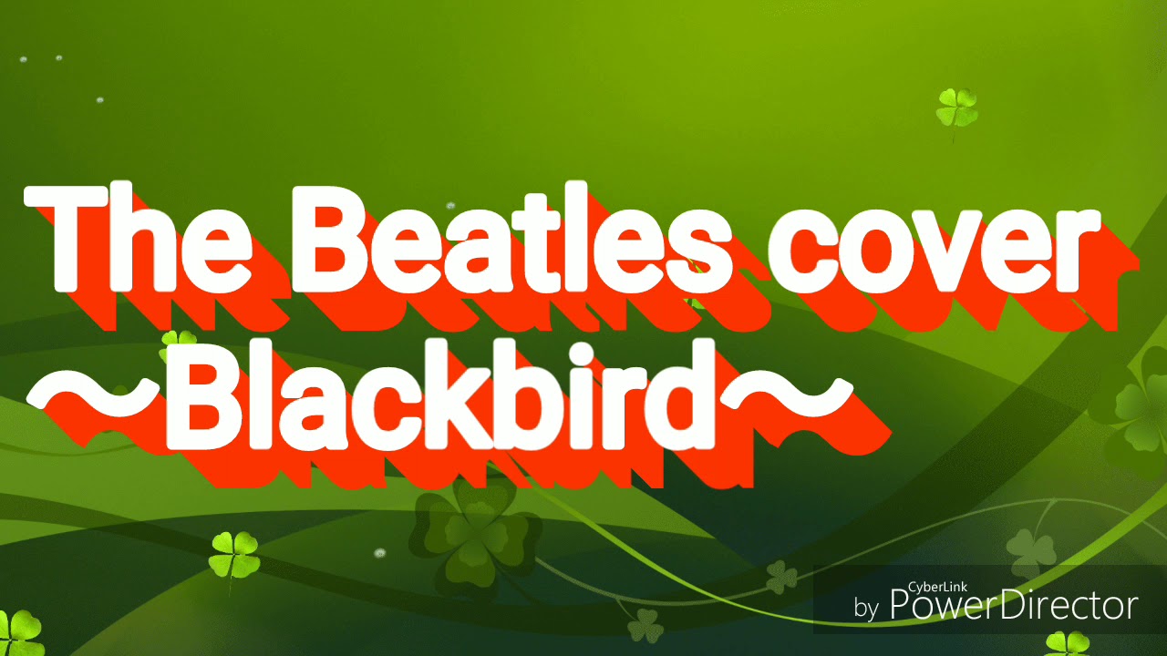 The Beatles～Blackbird～cover - YouTube
