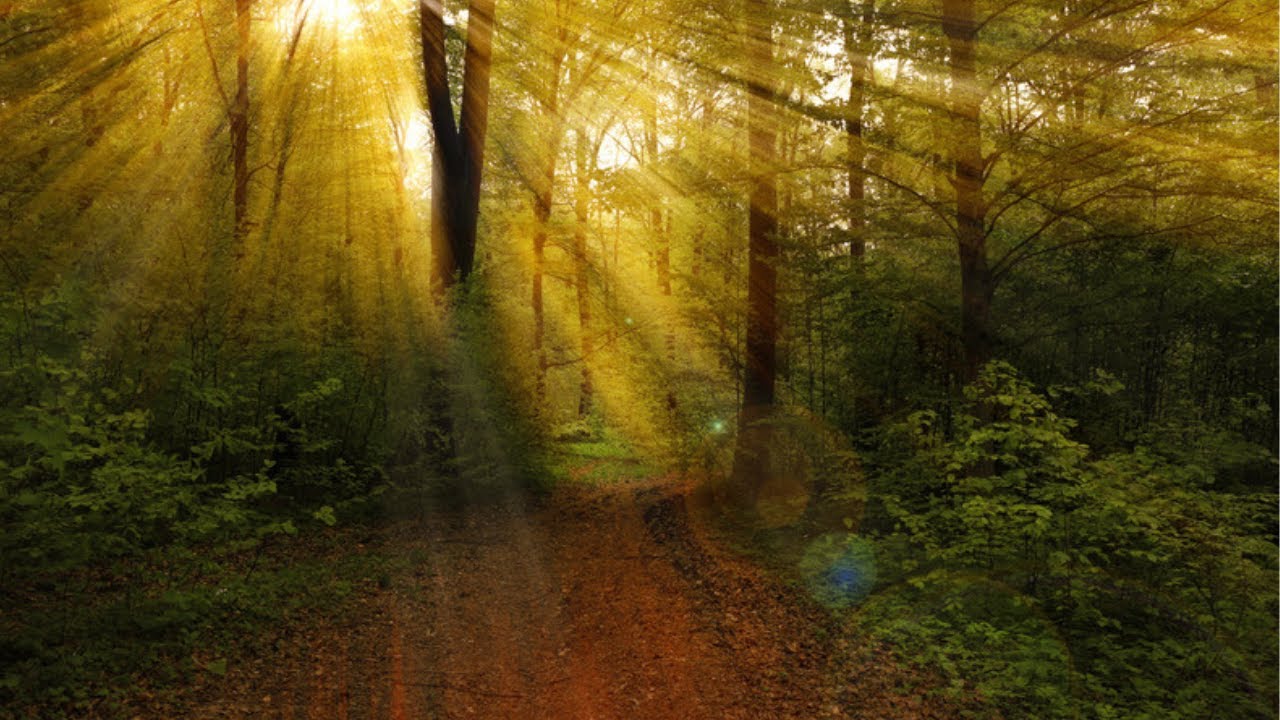 3 minutes relaxation music with nature scenes to stress relief and ...