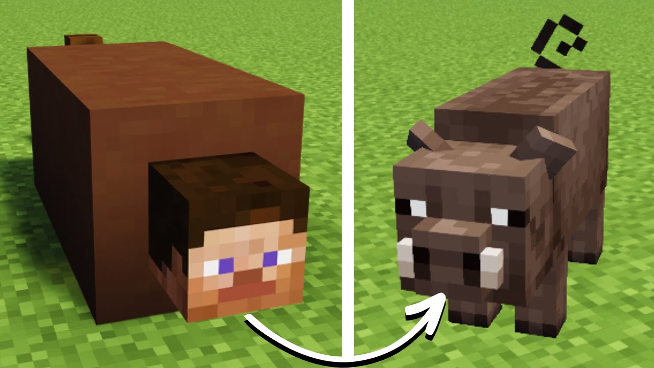 How to create BOAR in Minecraft - YouTube