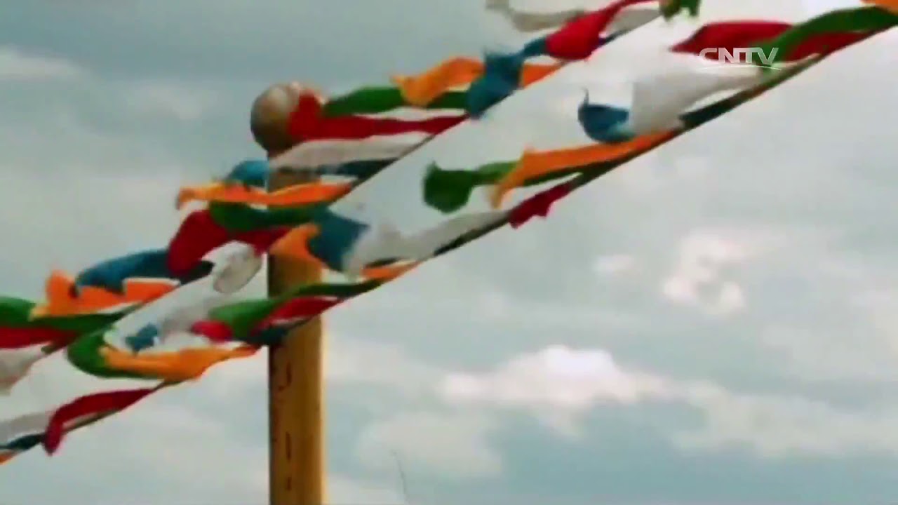 Best of CCTV | CCTV English - YouTube