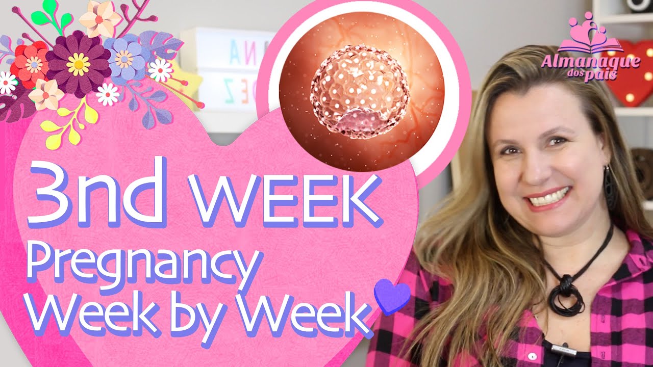 3RD WEEK OF PREGNANCY | Symptoms, Your Body, Baby Size, NIDDING | 1ST ...