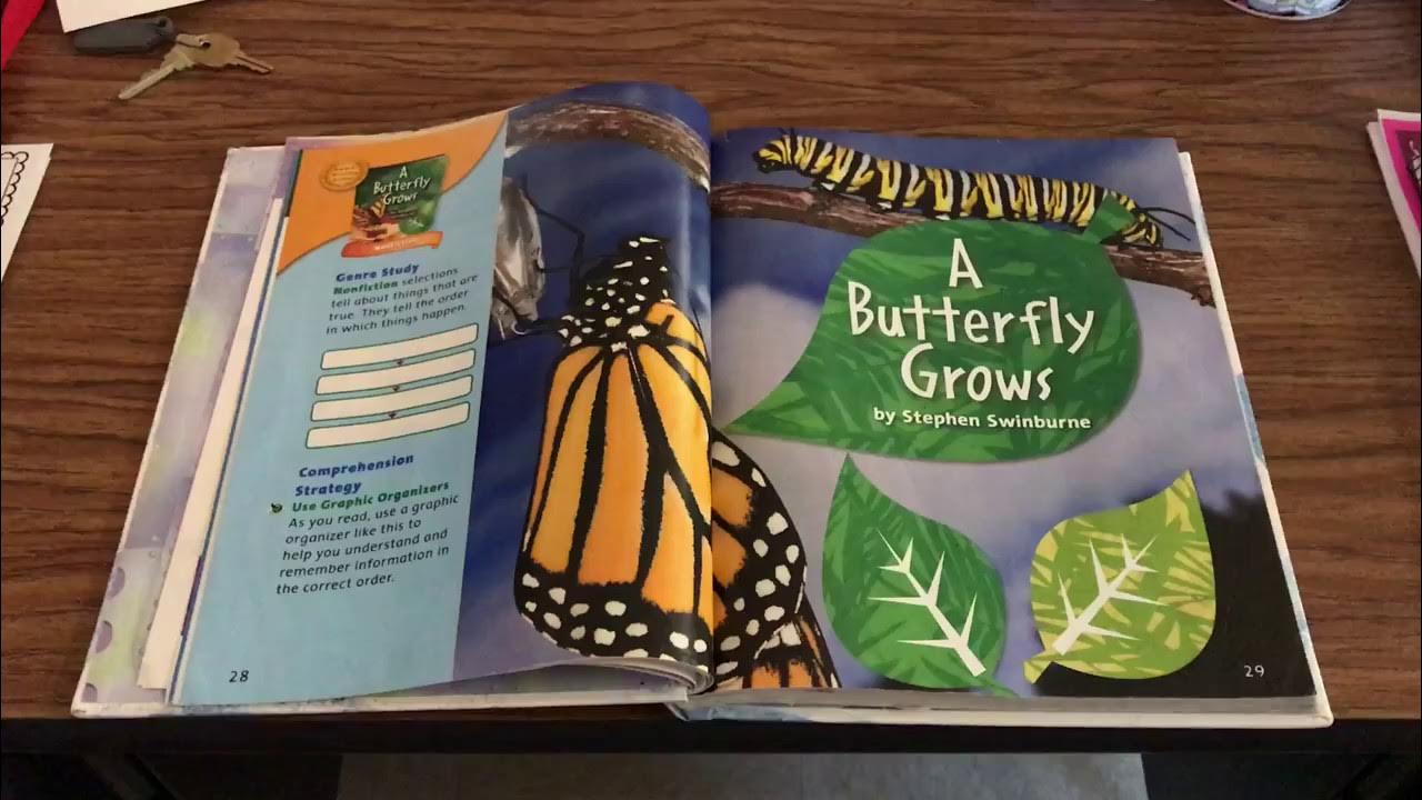 A Butterfly Grows (Lesson 13) - YouTube
