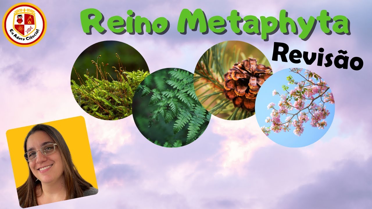Revisão: Reino Metaphyta (Plantas) - YouTube