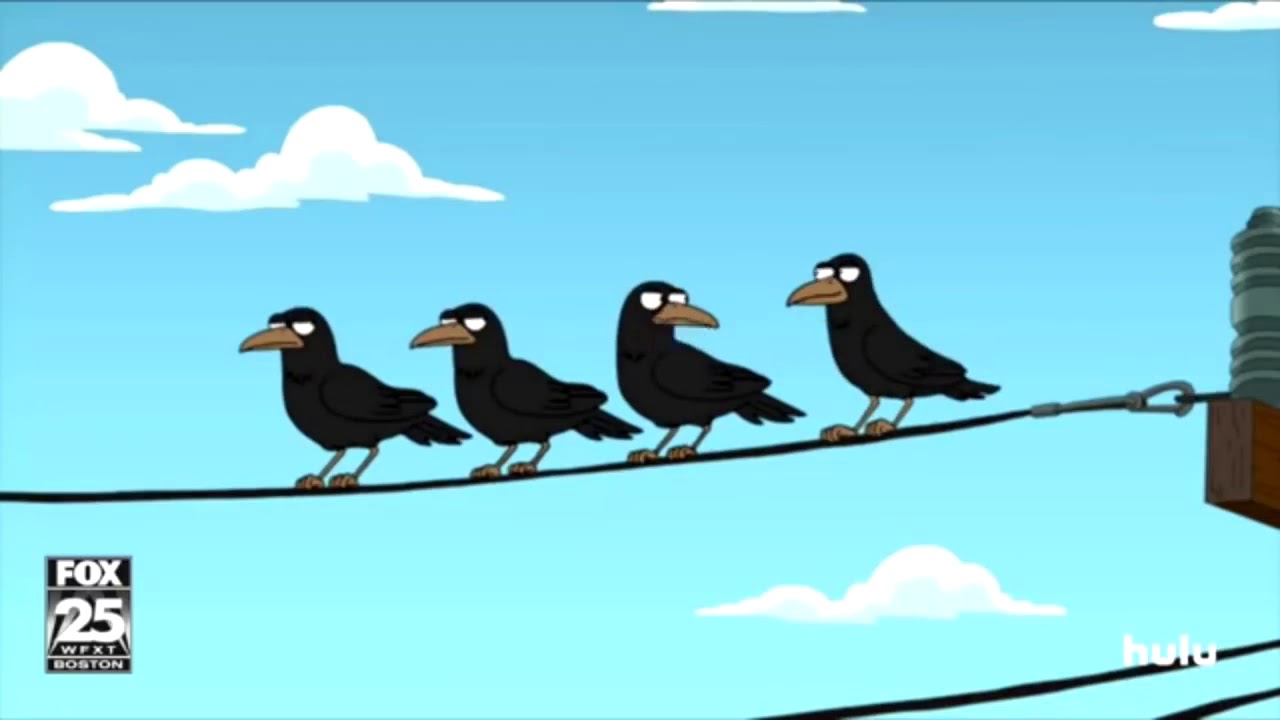 Family Guy - Funniest animals part 1 - YouTube