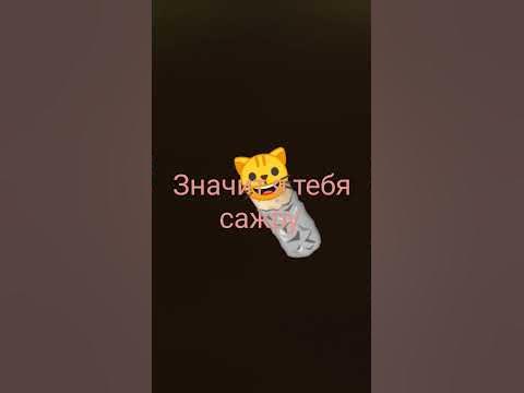 кот шаурма - YouTube