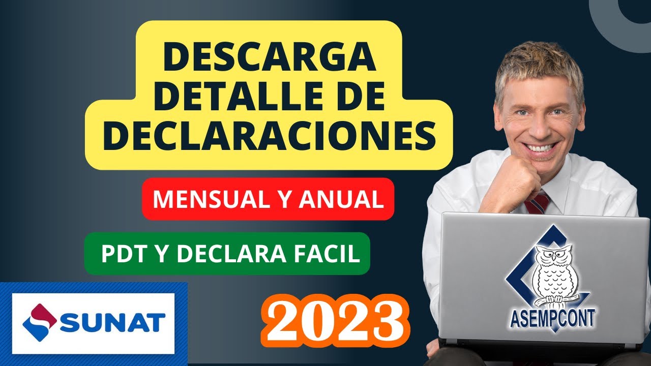 Como Ver El Detalle De Mis Declaraciones Sunat Declaración