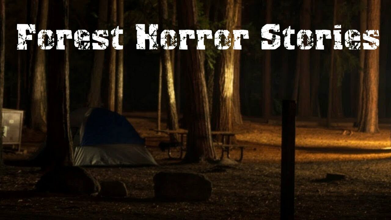 3 True Disturbing Forest Horror Stories - YouTube