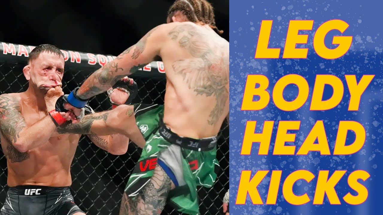 Leg Kick Kos Body Kick Kos And Head Kick Kos In Ufc Mma Youtube