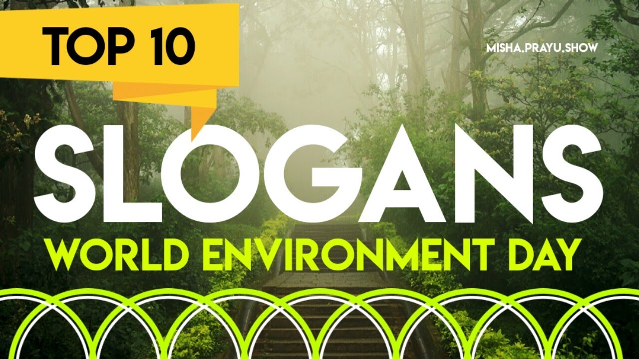 Unique and Catchy Slogans on Save Environment | World Environment Day Slogans | Top 10 Slogans ...