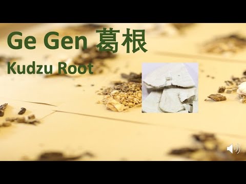 19 Chinese Herbal Medicine, Traditional Chinese Medicine, TCM - Ge Gen ...