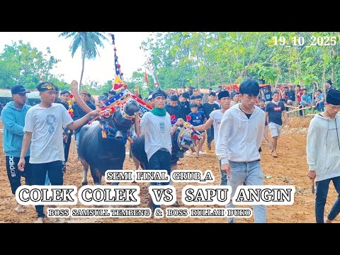 COLEK COLEK  &  SAPU ANGIN || SEMI FINAL GRUB_A_ BESAR || SAMBO, TUNGGAL