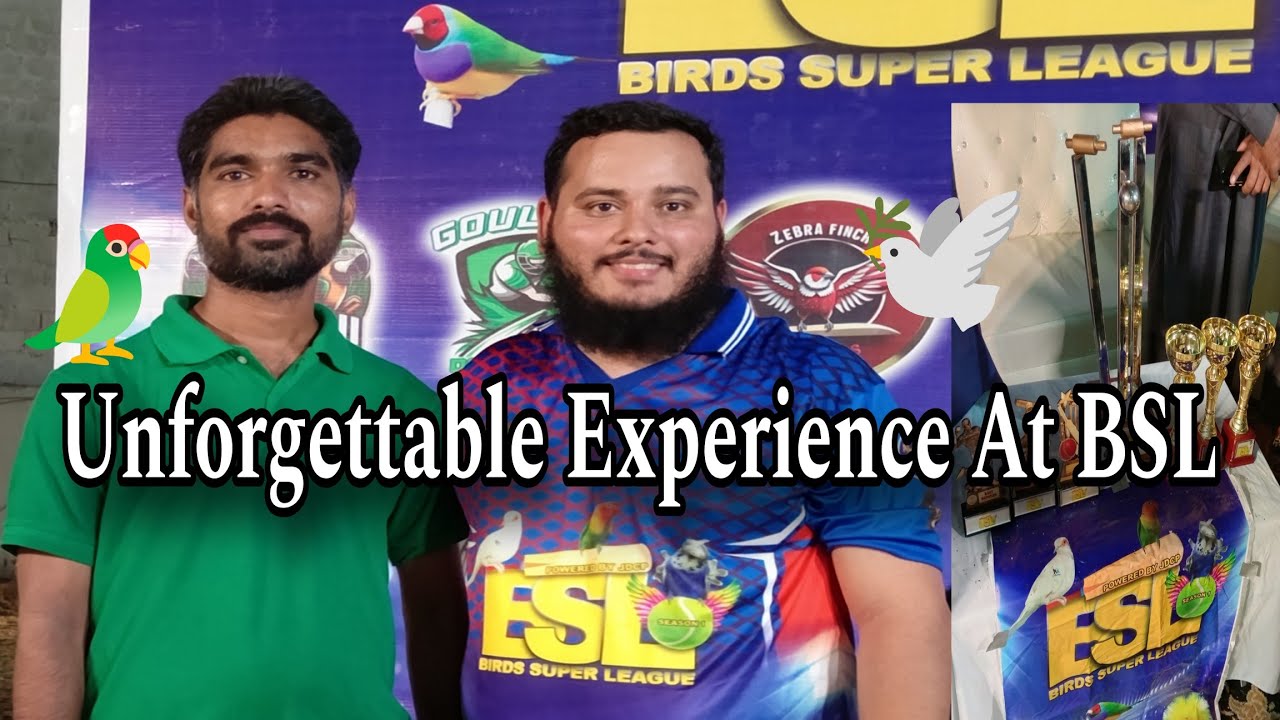 Unforgettable BSL Experience || Birds Super League ||BSL Main Bohat ...