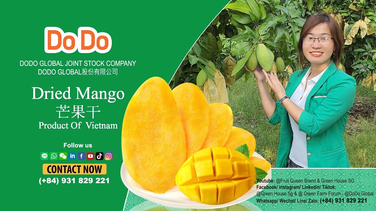 DODO - Dried Mango - 越南芒果干 - Экспорт сушеного манго из Вьетнама ...