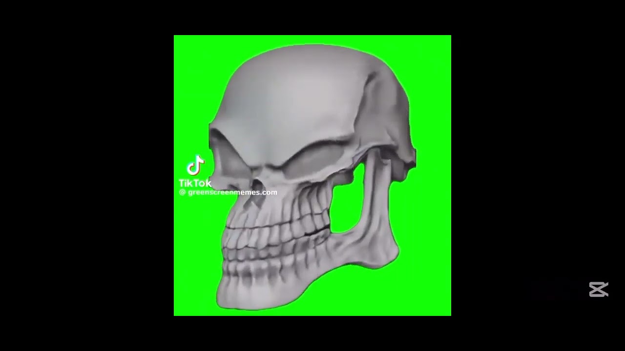 rizz skeleton meme greenscreen - YouTube