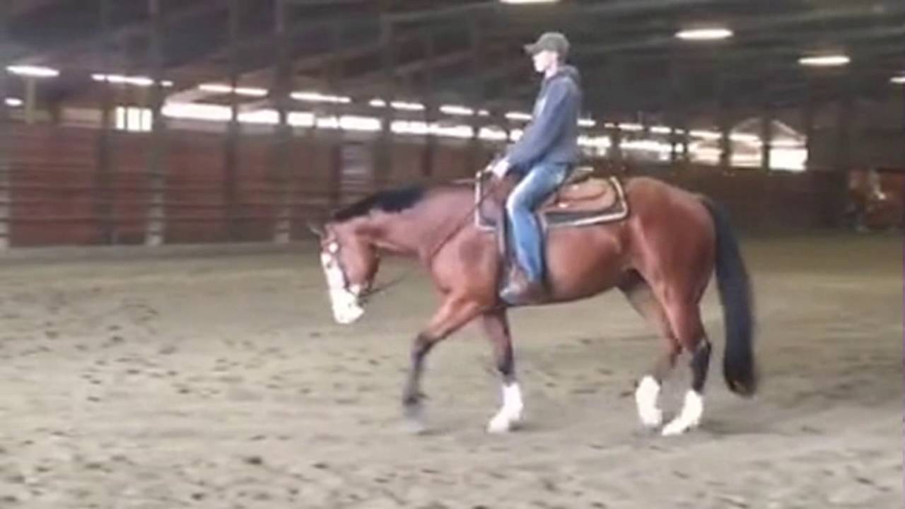 2012 APHA Mare by All Time Fancy - YouTube