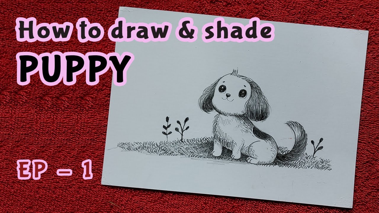 How to draw and shade a Puppy | EP1 - YouTube