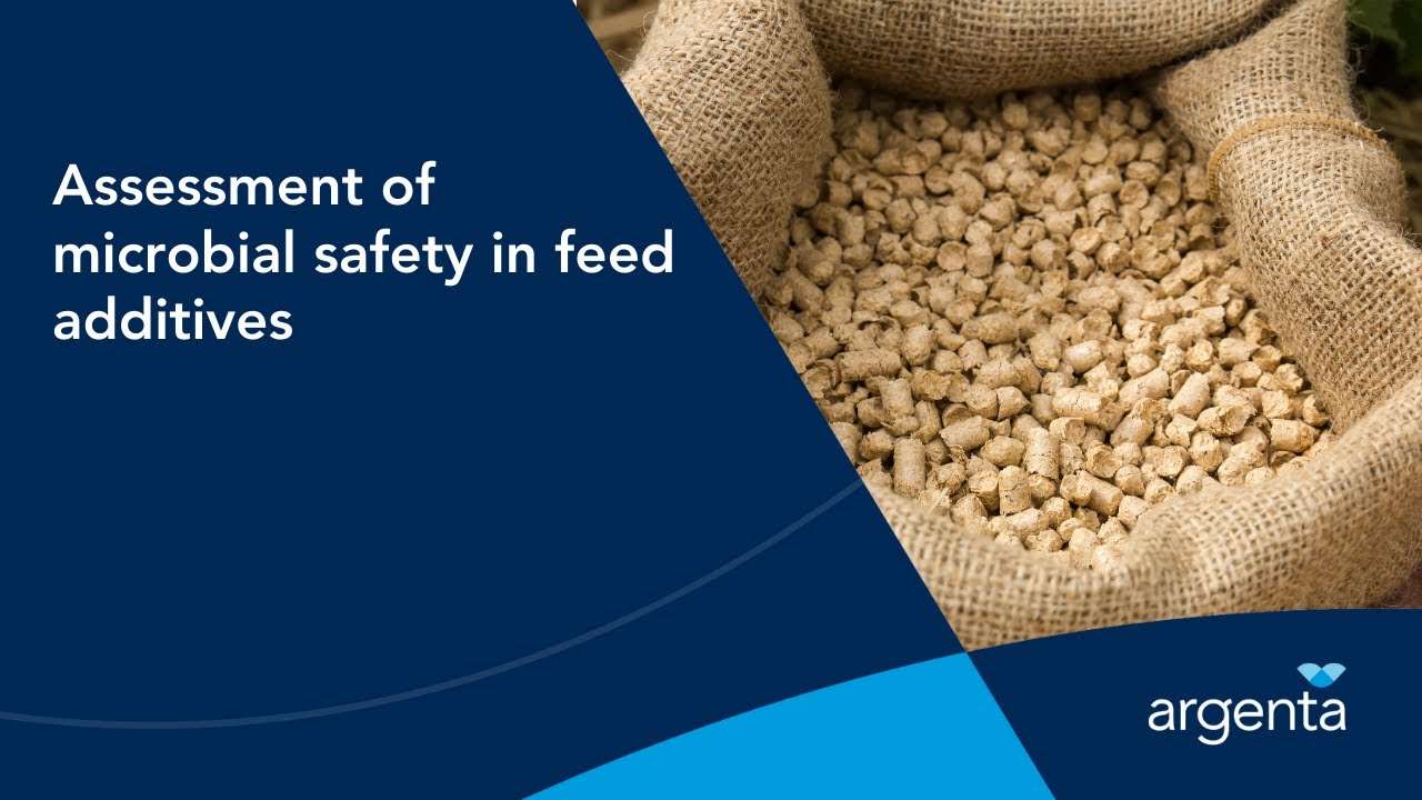 Assessment of microbial safety in feed additives - YouTube